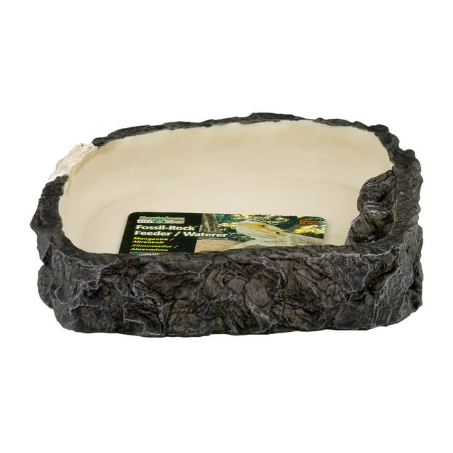Penn-Plax Reptology Reptile Fossil Rock Food / Water Dish – for Many ...
