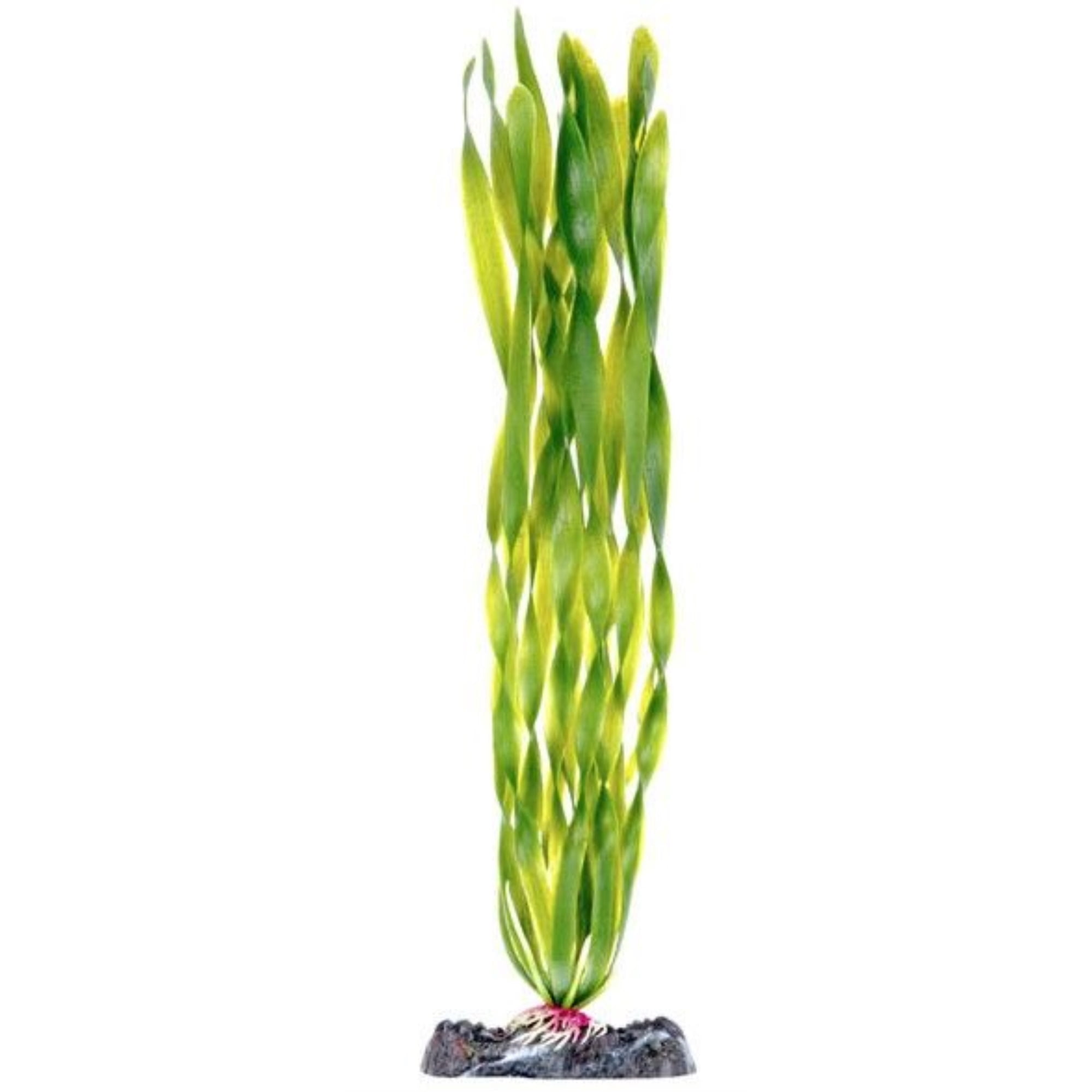 Penn Plax Aqua Plant Corkscrew Vallisneria Extra Large - Walmart.com