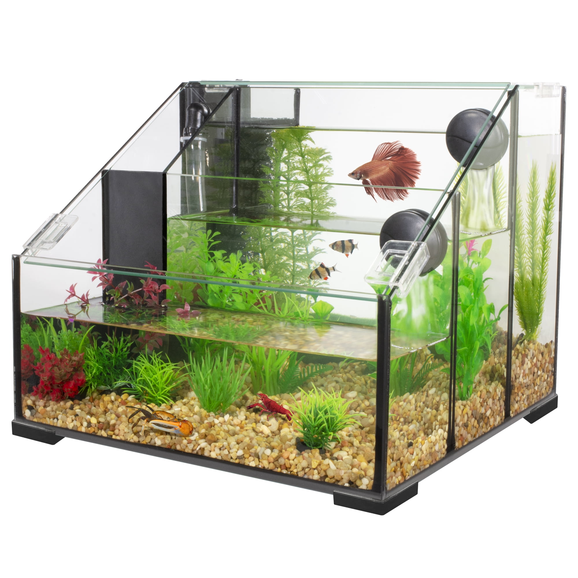 Penn-Plax Triad AquaTerrium Fish Tank – 3 Chambers, 1 Biological ...