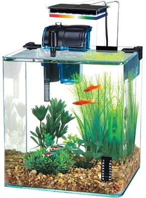 5 Gallon Fish Tank in Fish Tanks - Walmart.com