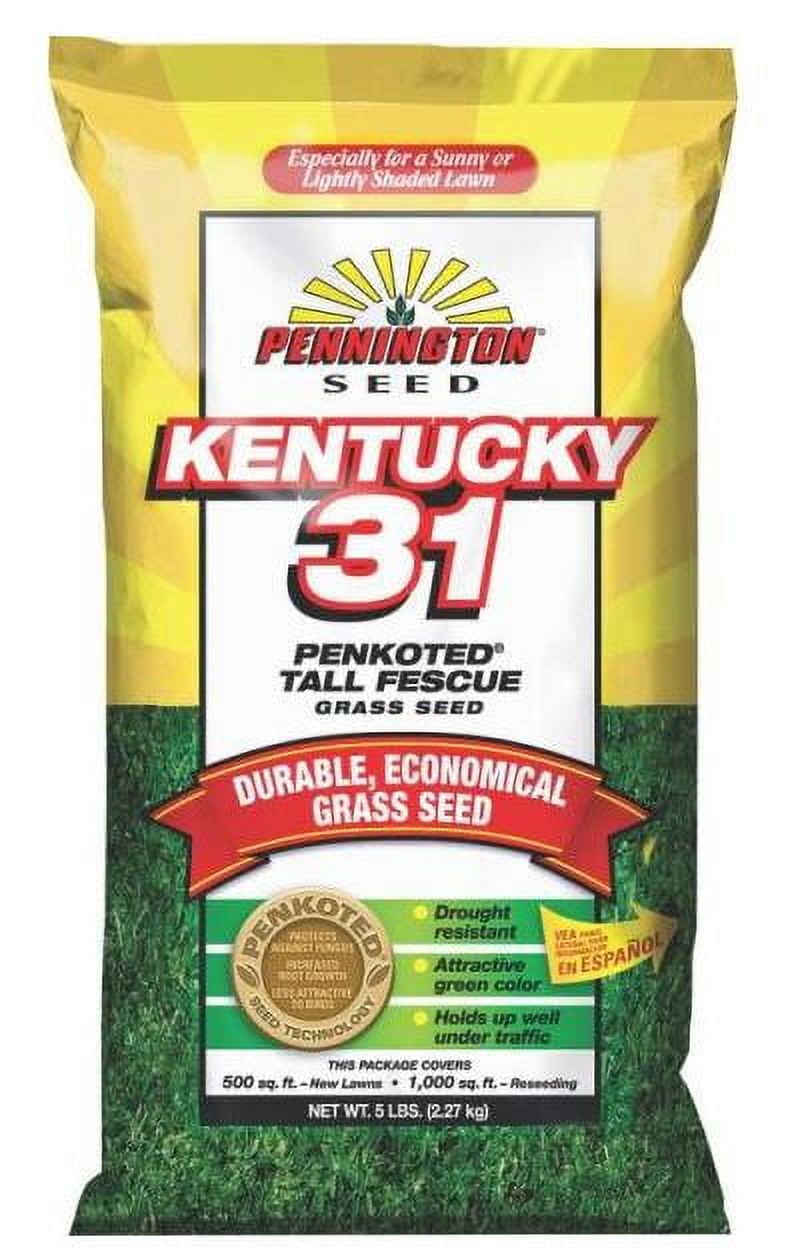 Pennington 100516050 Kentucky 31 Tall Fescue Penkoted Grass Seed, 5 Lb ...