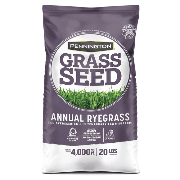 Annual Rye Grass Seed