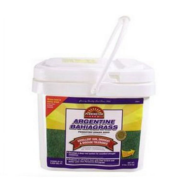 Pennington Argentine Bahia Grass Seed Pail - 10 Lbs. - Walmart Business ...