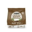 Expert Gardener Sun & Shade Northern Grass Seed Mix, for Sun to Partial ...