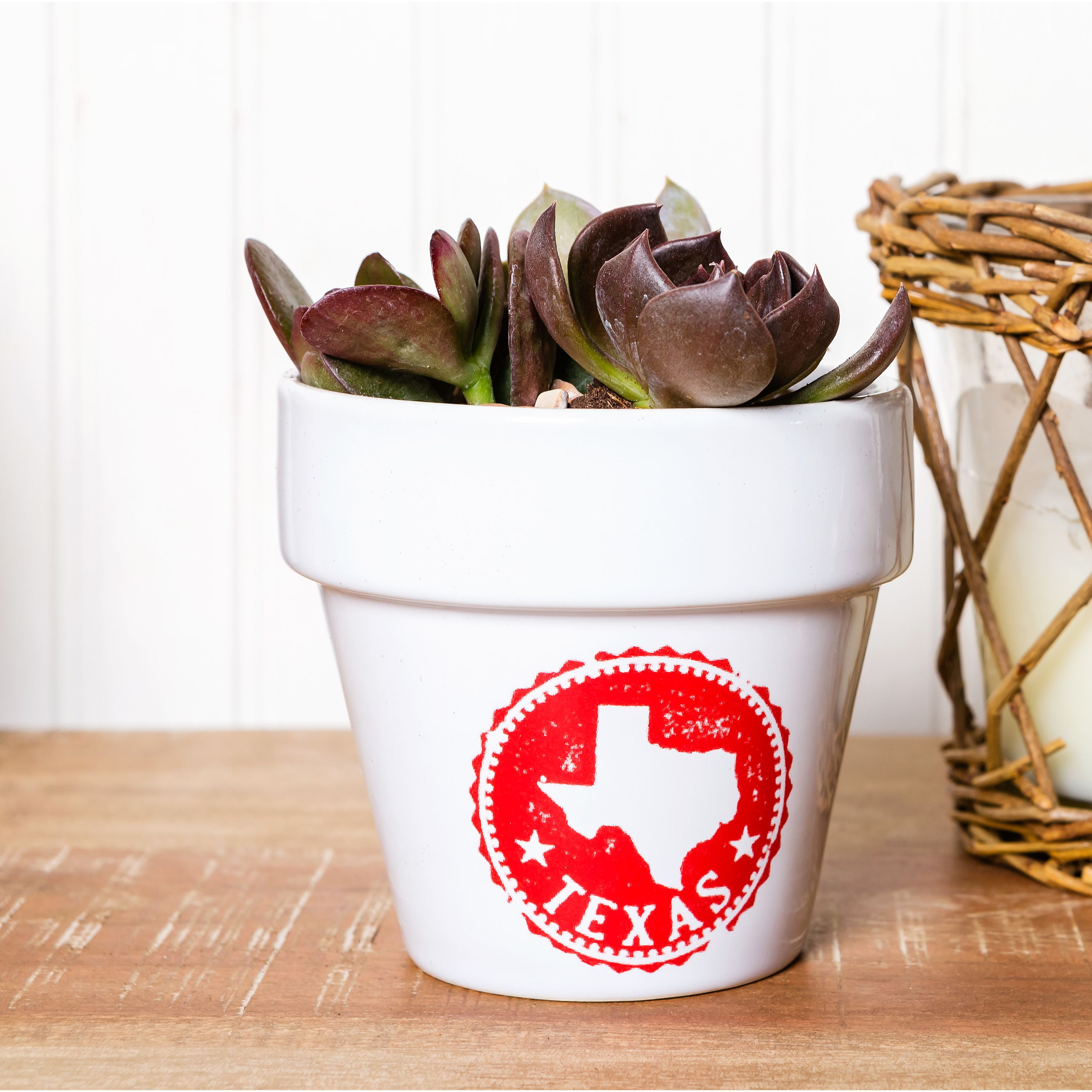 Pennington Ceramic Texas Star Pot, 5.5 inch - Walmart.com
