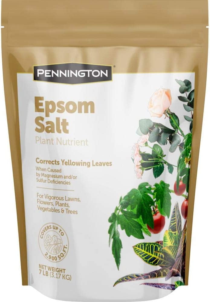 Pennington Epsom Salt 7lb for Vigorous Lawns, Gardens, Yard, Flowers ...