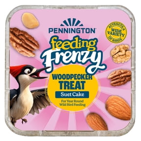Suet in Bird Feed - Walmart.com