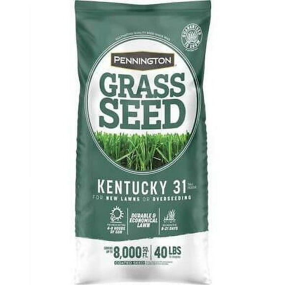Kentucky 31 Tall Fescue Grass Seed