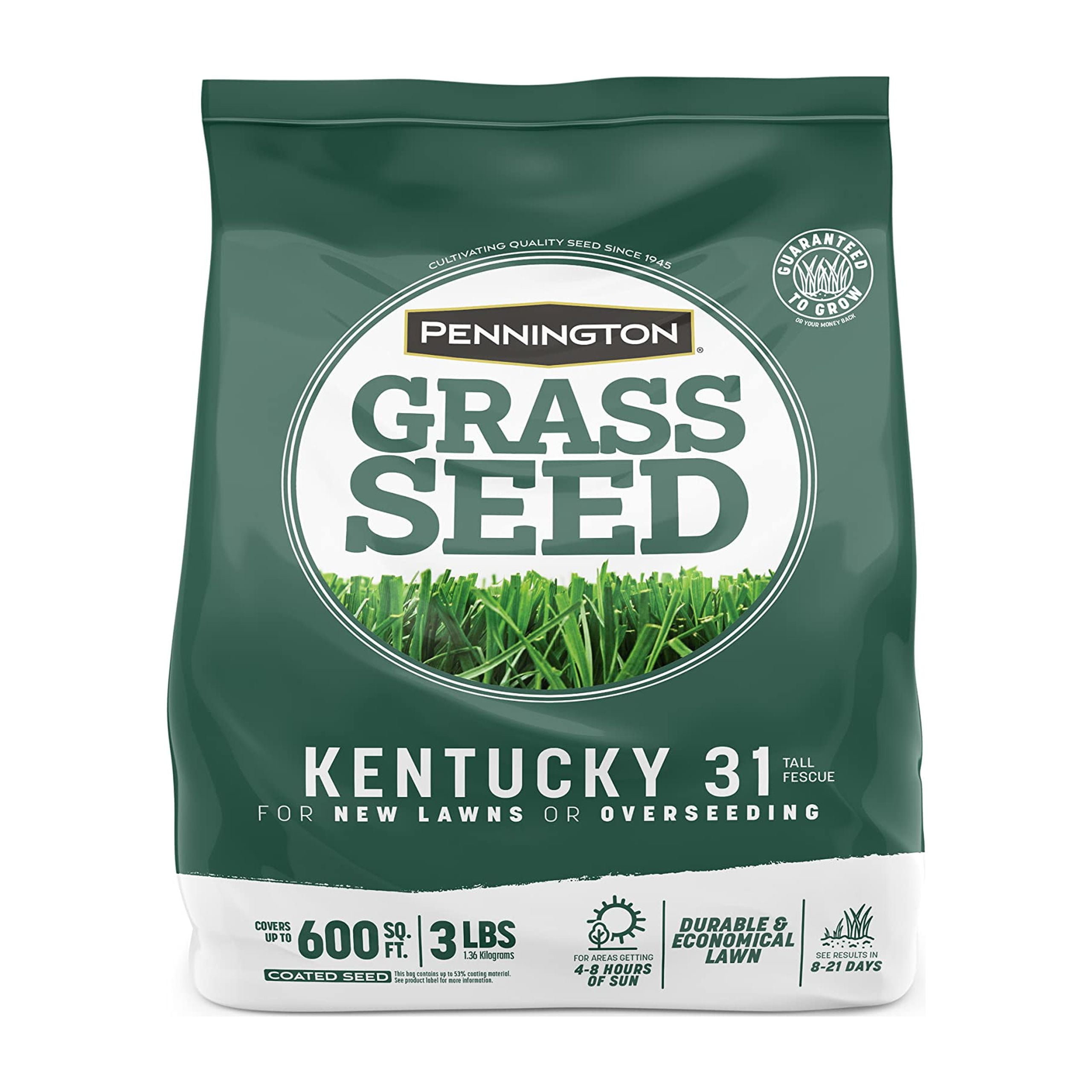 Pennington Kentucky 31 Tall Fescue Penkoted MVR1 Grass Seed 3 lb ...