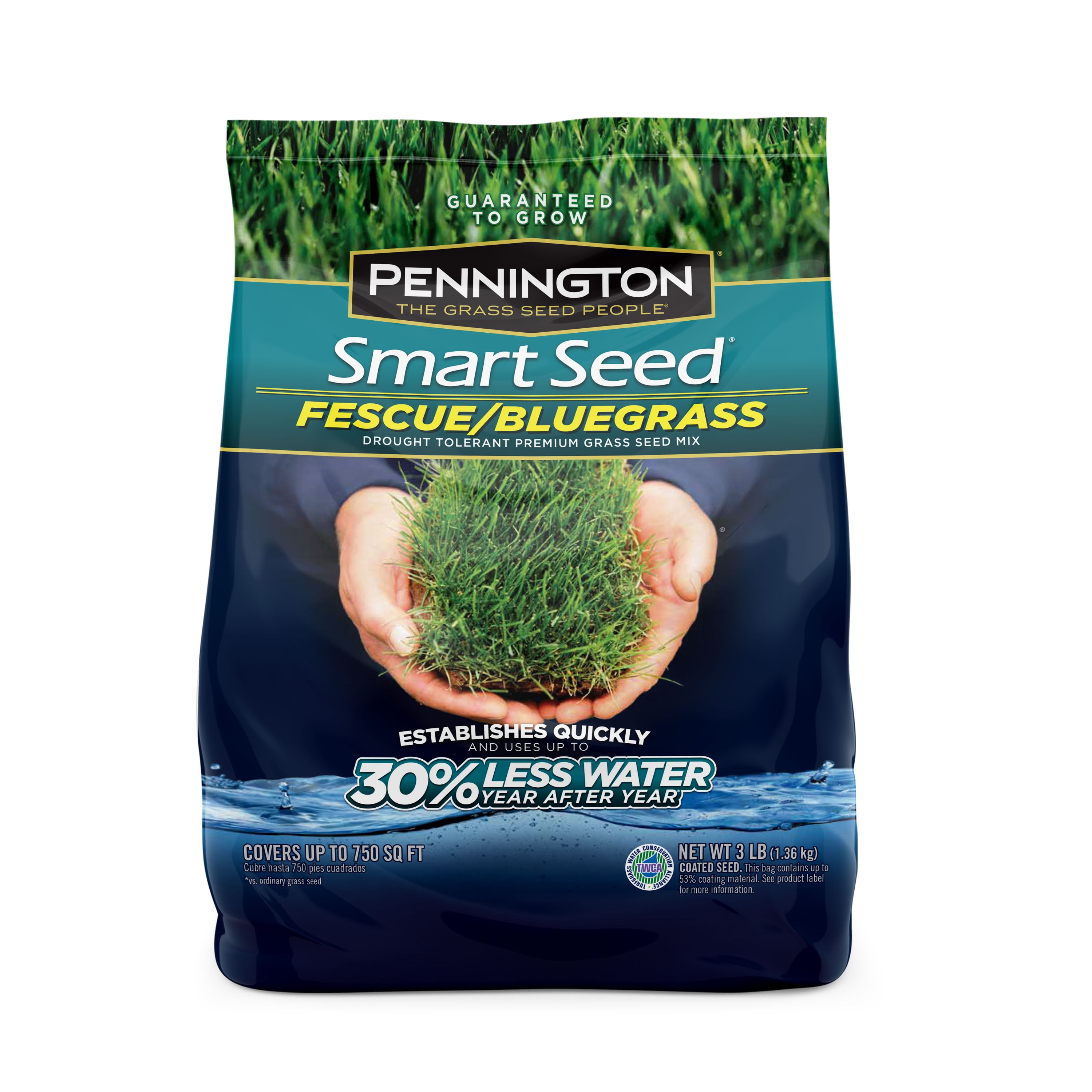 Pennington Kentucky Blue Grass Seed, Sun to Partial Shade, 3 lbs ...