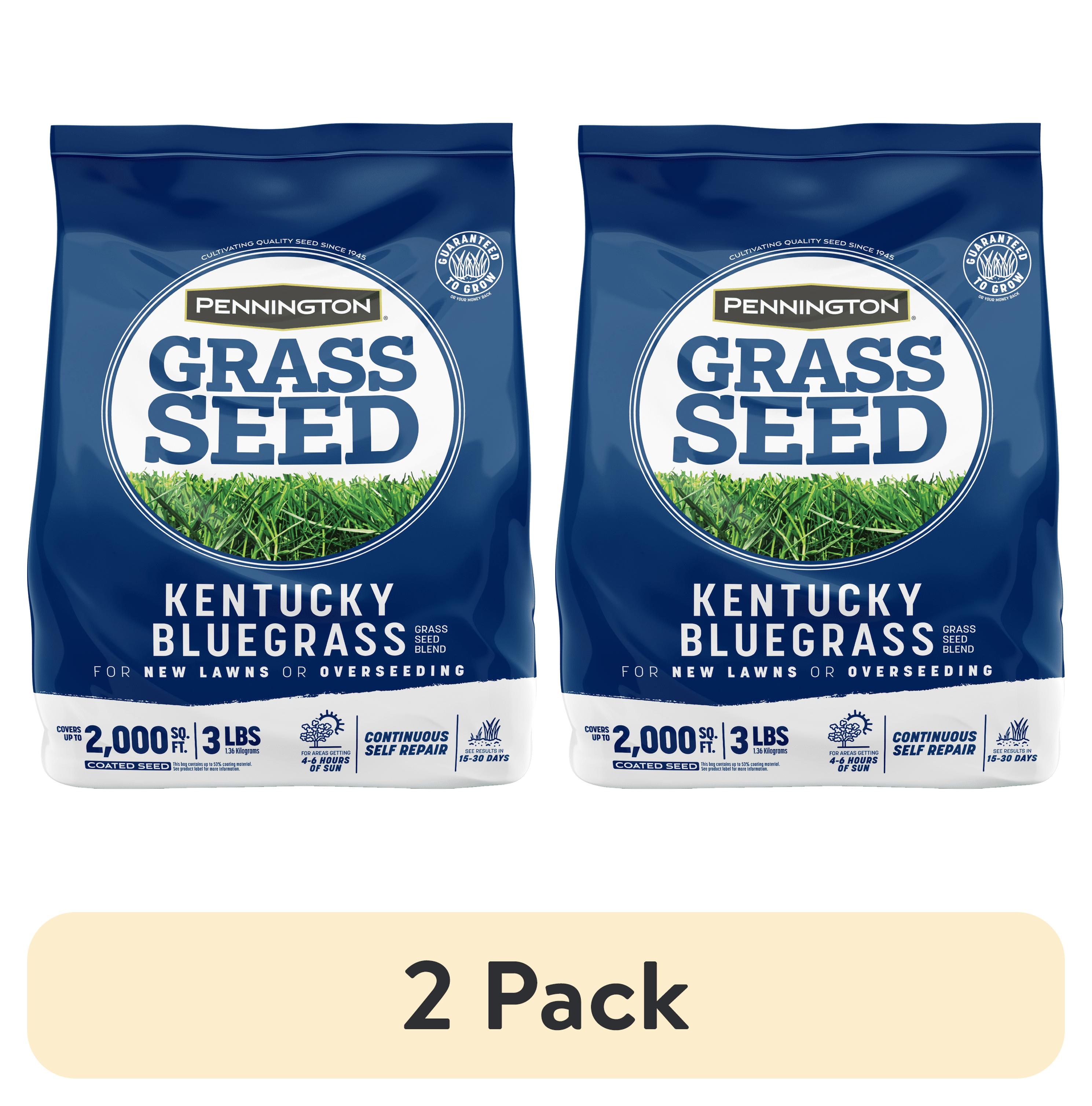 (2 pack) Pennington Kentucky Bluegrass Northern Grass Seed Mix, Sun ...