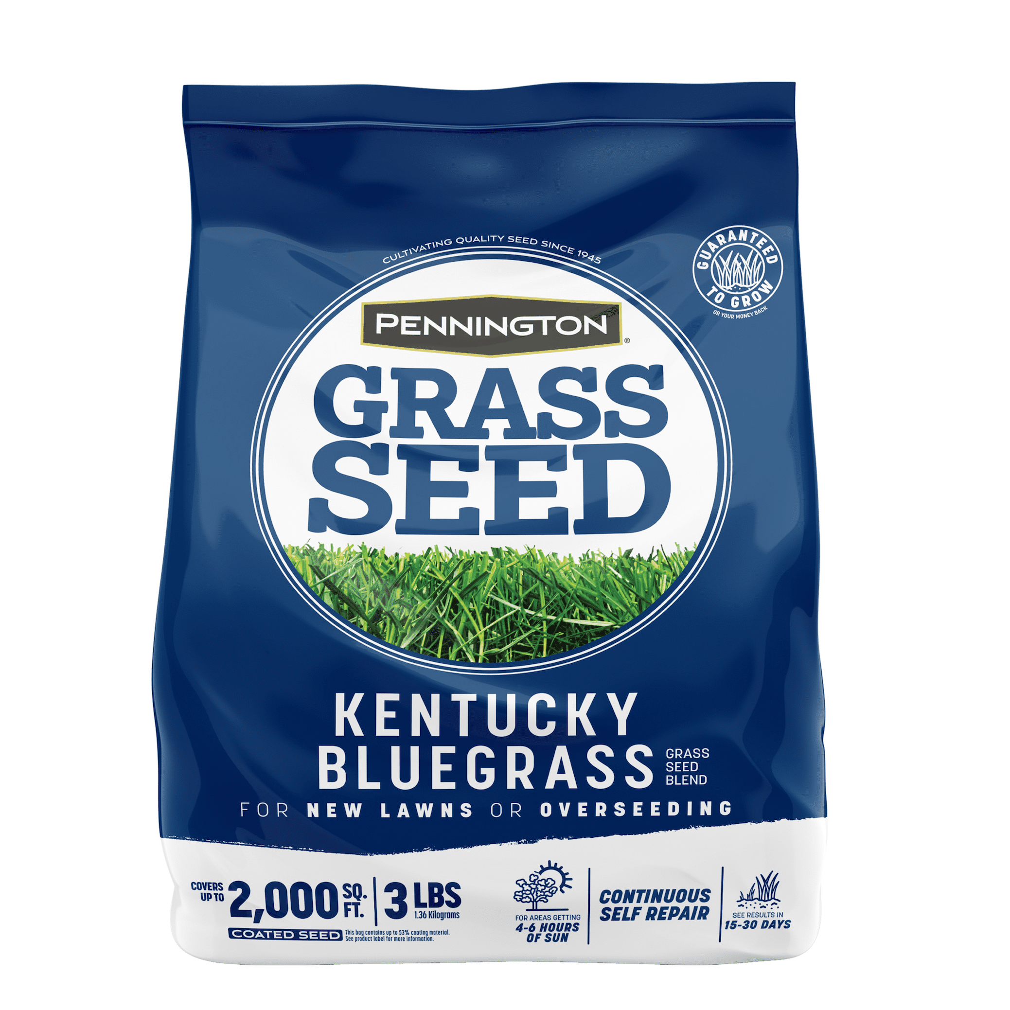 Pennington Kentucky Bluegrass Northern Grass Seed Mix, Sun Light to ...