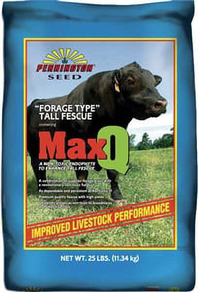 Pennington MaxQ Tall Fescue (Jesup) - 25 Lbs. - Walmart.com
