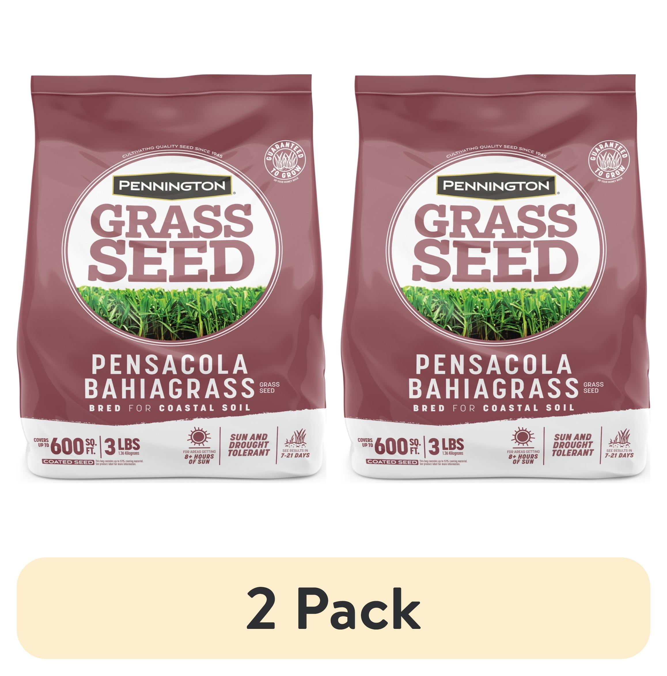 (2 pack) Pennington Pensacola Bahiagrass Grass Seed, for Full Sun, 3 lb ...