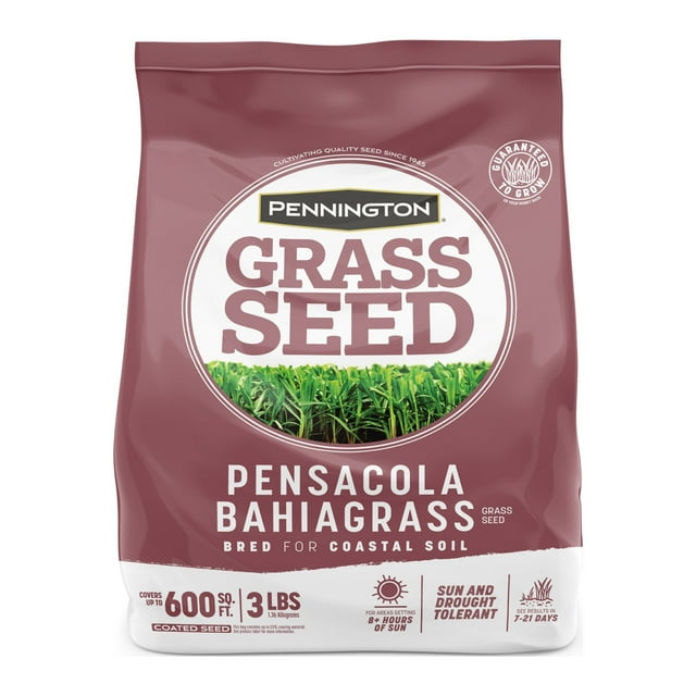 Pennington Pensacola Bahiagrass Grass Seed, for Full Sun, 3 lb ...