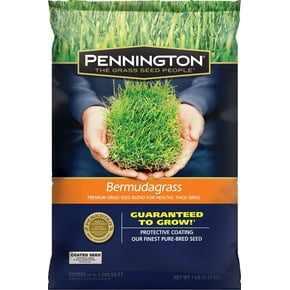 Bermuda Grass Seeds in Grass Seed & Sod - Walmart.com