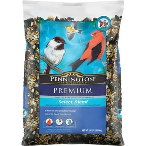 Bird Seed 40 Lb