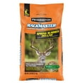 Pennington Rackmaster Deluxe Spring/Summer Deer Food Plot Mix, 50lb ...