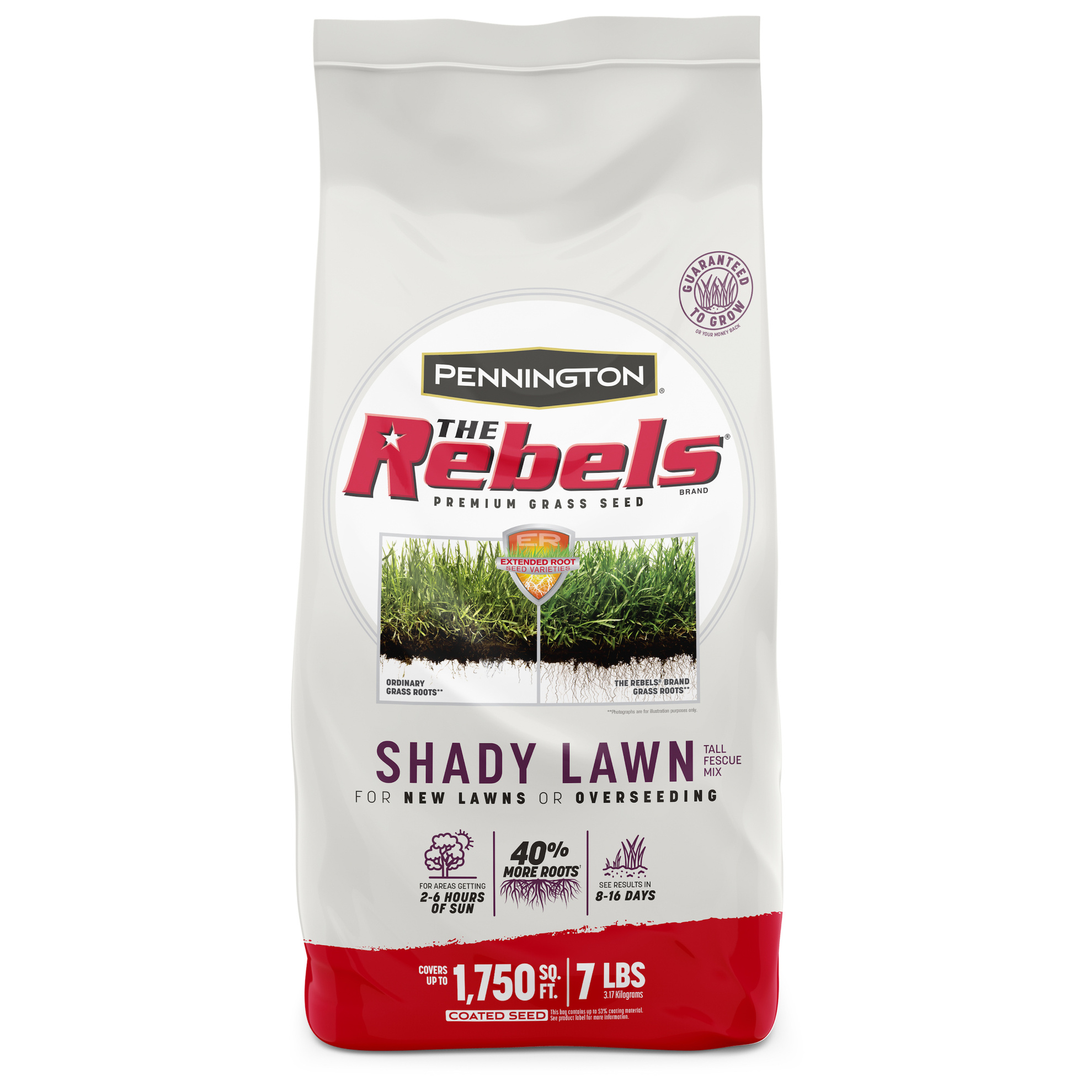 Pennington Rebels Shady Lawn Grass Seeds Mix, for Moderate to Heavy ...