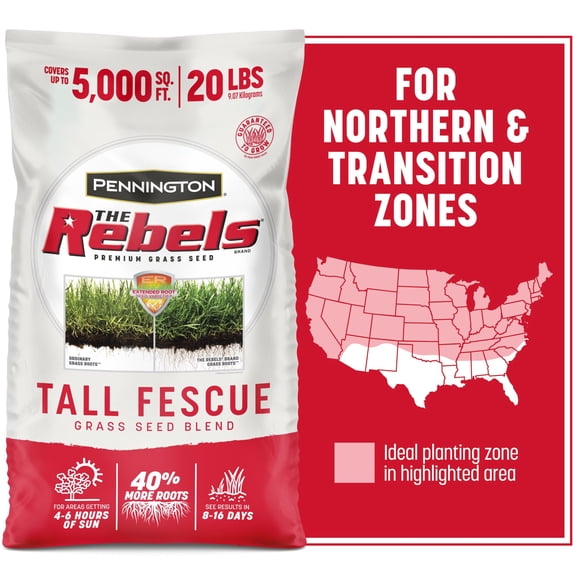 Pennington, Tall Fescue Grass Seed, 20 lb, for Sun to Partial Shade ...