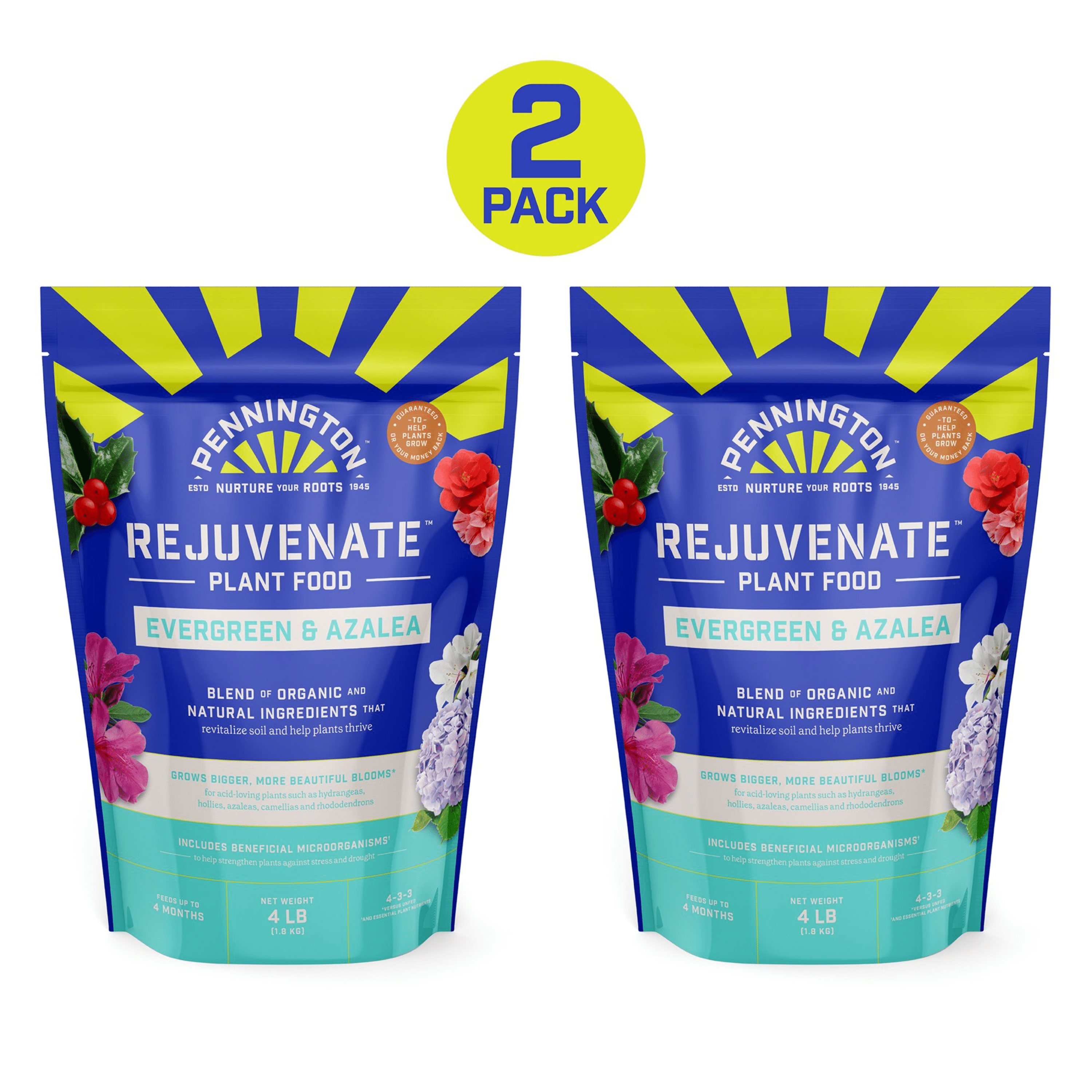 Pennington Rejuvenate Organic and Natural Evergreen and Azalea Plant ...