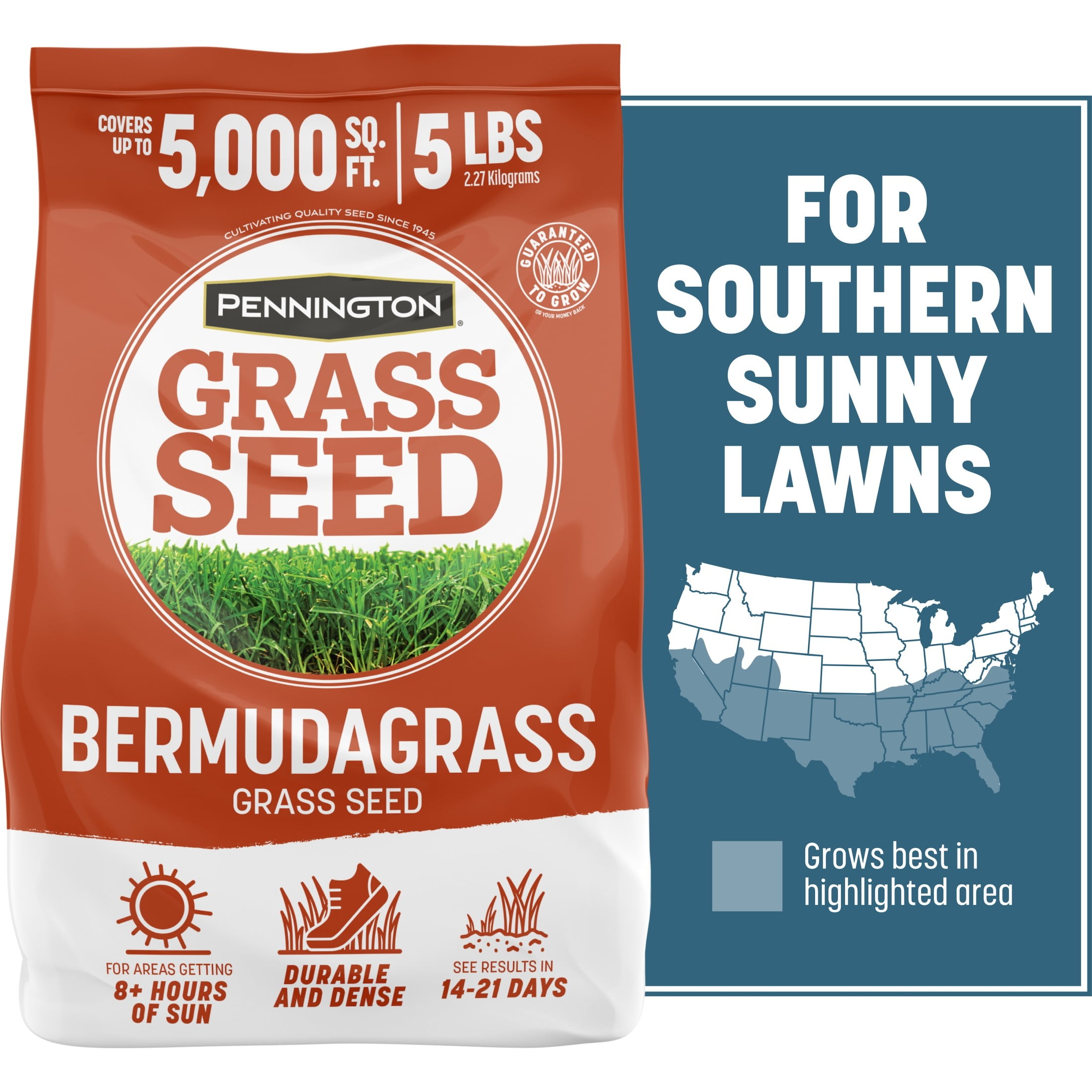 Pennington Sahara Bermudagrass Southern Grass Seed, for Full Sun, 5 lb ...