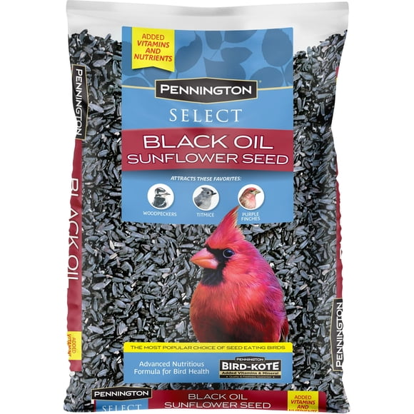 40 Lb Wild Bird Seed