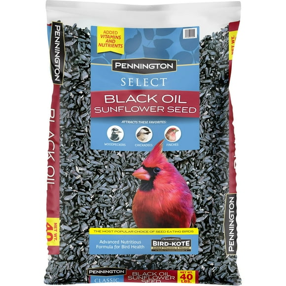 All Bird Feed in Bird Feed - Walmart.com