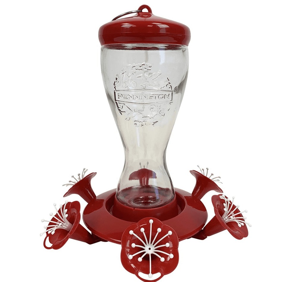 Pennington Sipper Glass Bottle Red Hummingbird Feeder, 28 oz Nectar ...