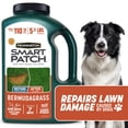 Pennington Smart Patch Bermuda Grass Seed Mix, for Full Sun, 5.5 lb ...