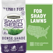 Americas Favorite Falcon IV Tall Fescue Grass Seed, 50 lbs - TWCA ...