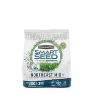 Expert Gardener Sun & Shade Northern Grass Seed Mix, for Sun to Partial ...