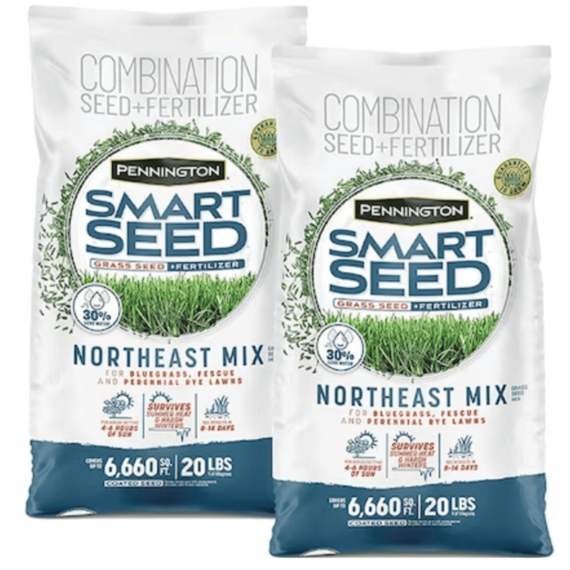 Pennington Smart Seed Northeast Mix, Premium Kentucky Bluegrass & Fine ...