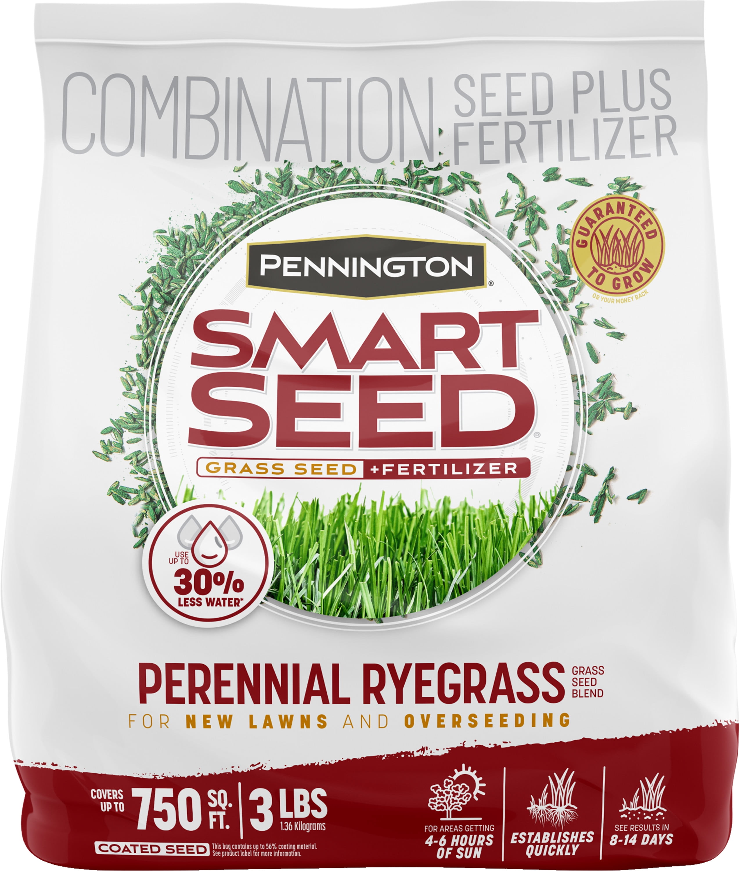 Pennington Smart Seed Perennial Ryegrass Grass Seed, for Full Sun, 3 lb ...