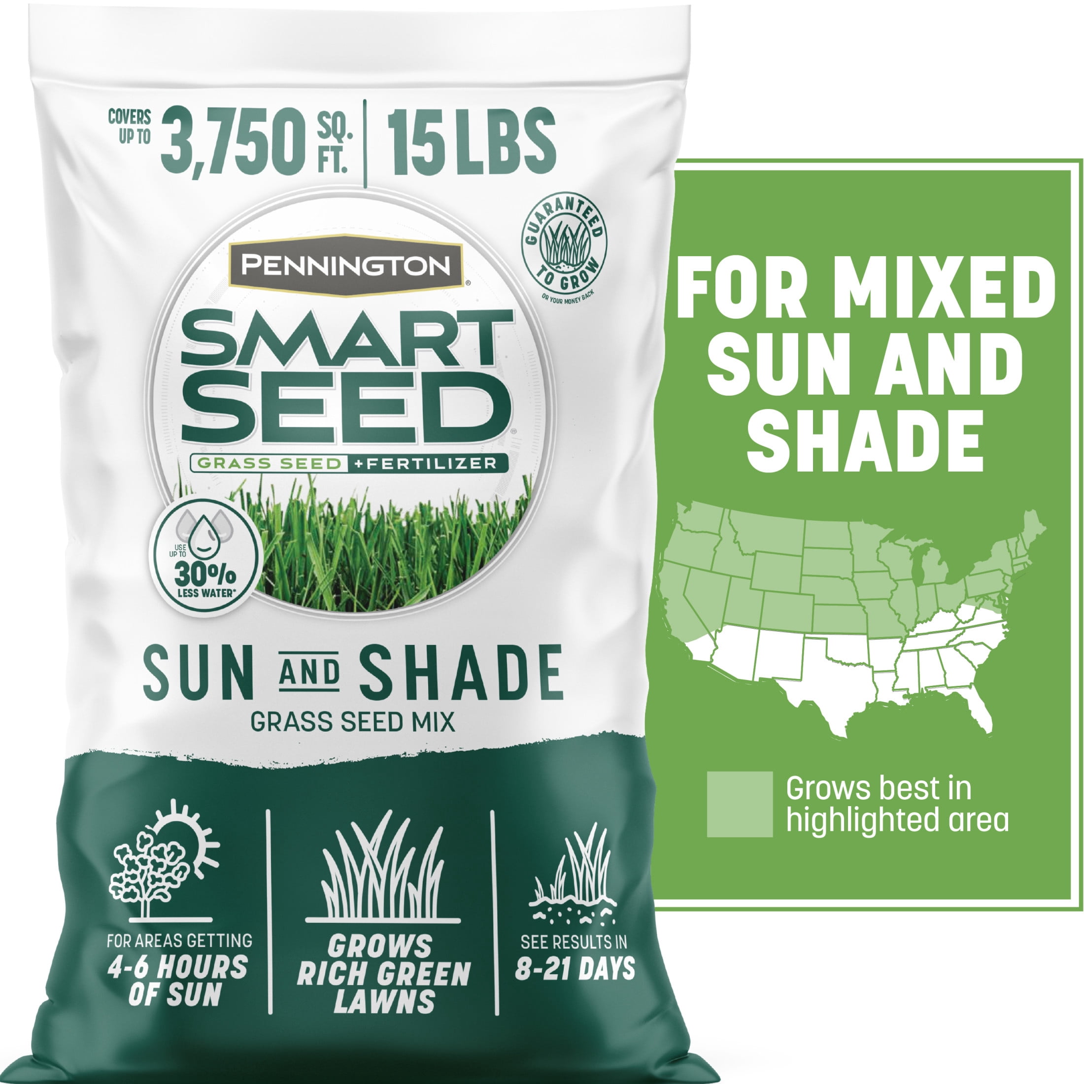 Pennington Smart Seed Sun and Shade Grass Northern Lawn Mix, for Sun to ...
