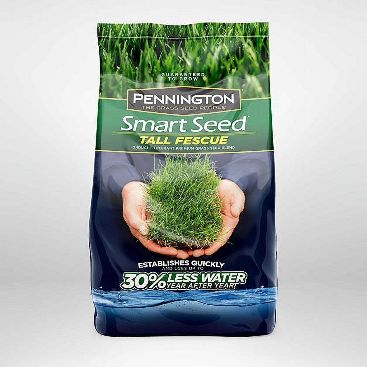 Pennington Smart Seed Tall Fescue Grass Seed, Sun to Partial Shade, 20 ...