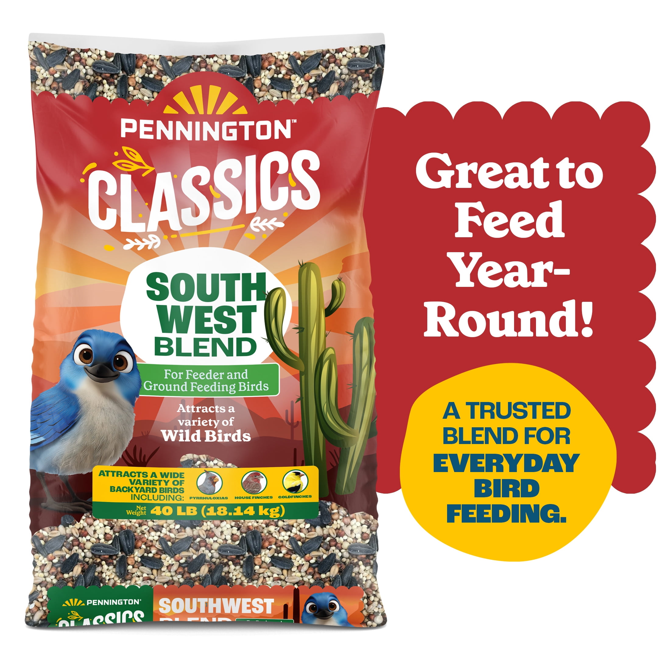 Best Bird Seed Mix to Attract Desert Birds in Arizona - Earth of Birds