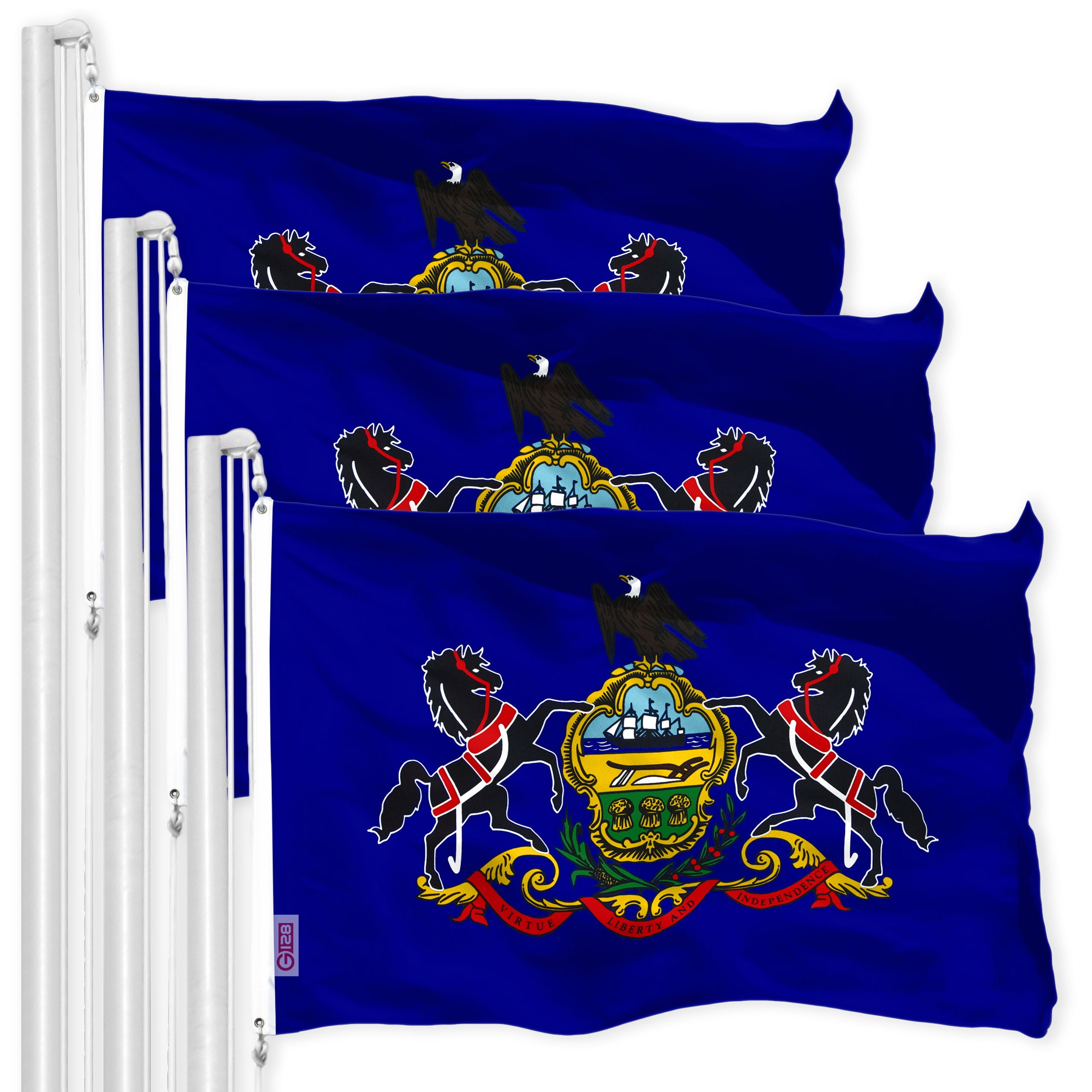 Pennsylvania PA State Flag 3x5FT 3-Pack 150D Printed Polyester By G128 ...