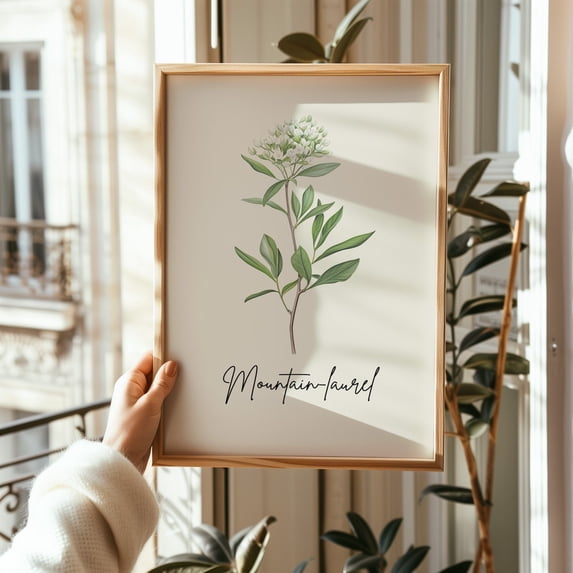 Pennsylvania State Flower Poster: Mountain Laurel Line Art, Unframed ...