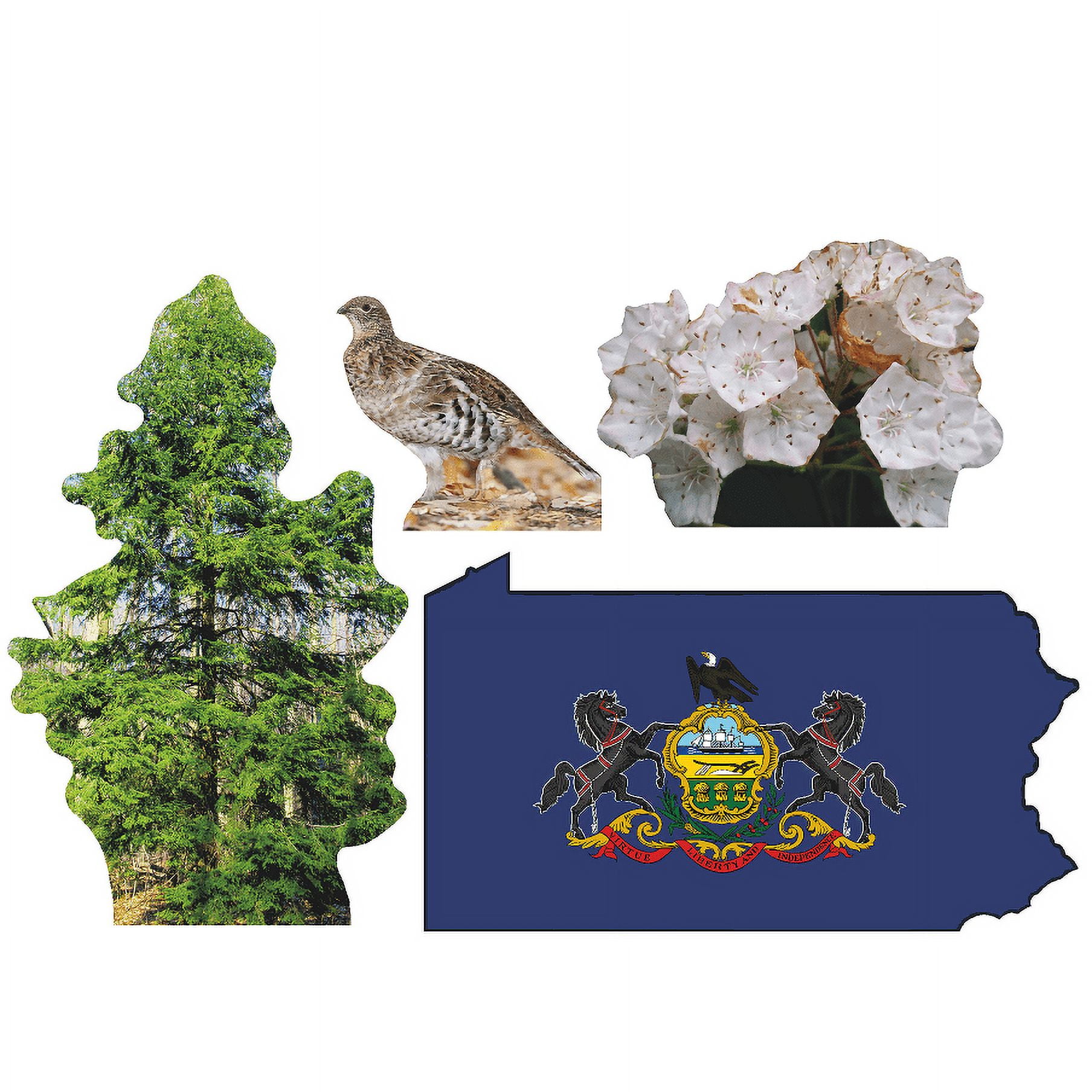 Pennsylvania State Tree Flower Bird Cardboard Cutout Pack Standee ...