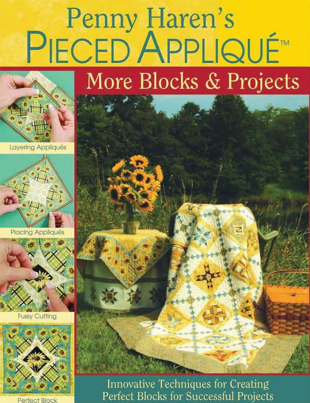 Penny Haren's Pieced Appliqu More Blocks Projects: Innovative ...