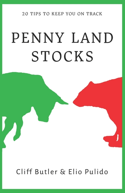 Penny Land Stocks : 20 Tips to keep you on track (Paperback) - Walmart.com