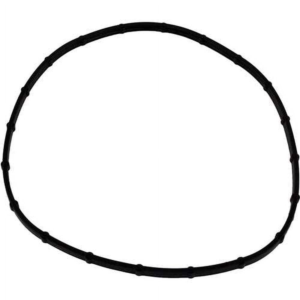 Pentair 05101-0002 Gasket Replacement Sta-Rite Sunsaver Pool and Spa ...
