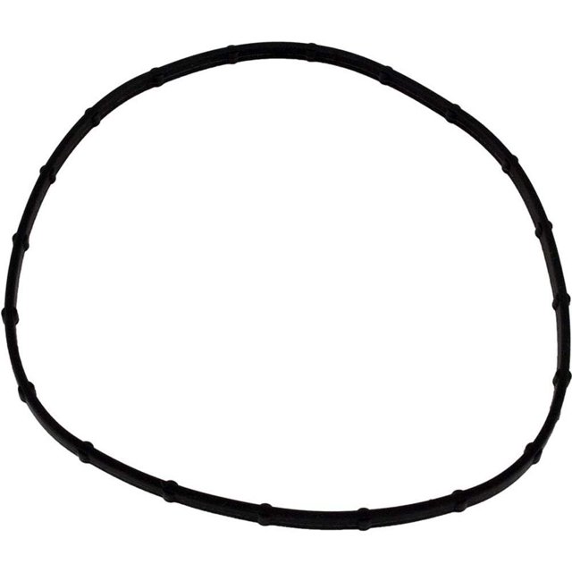 Pentair 05101-0002 Gasket Replacement Sta-Rite Sunsaver Pool and Spa ...