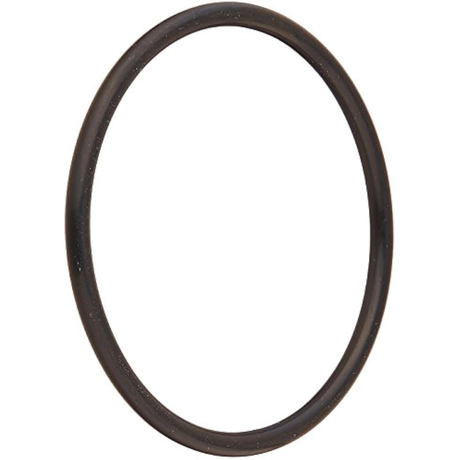 Pentair 071426 Collar and Rotor Union O-Ring Replacement Pool/Spa ...