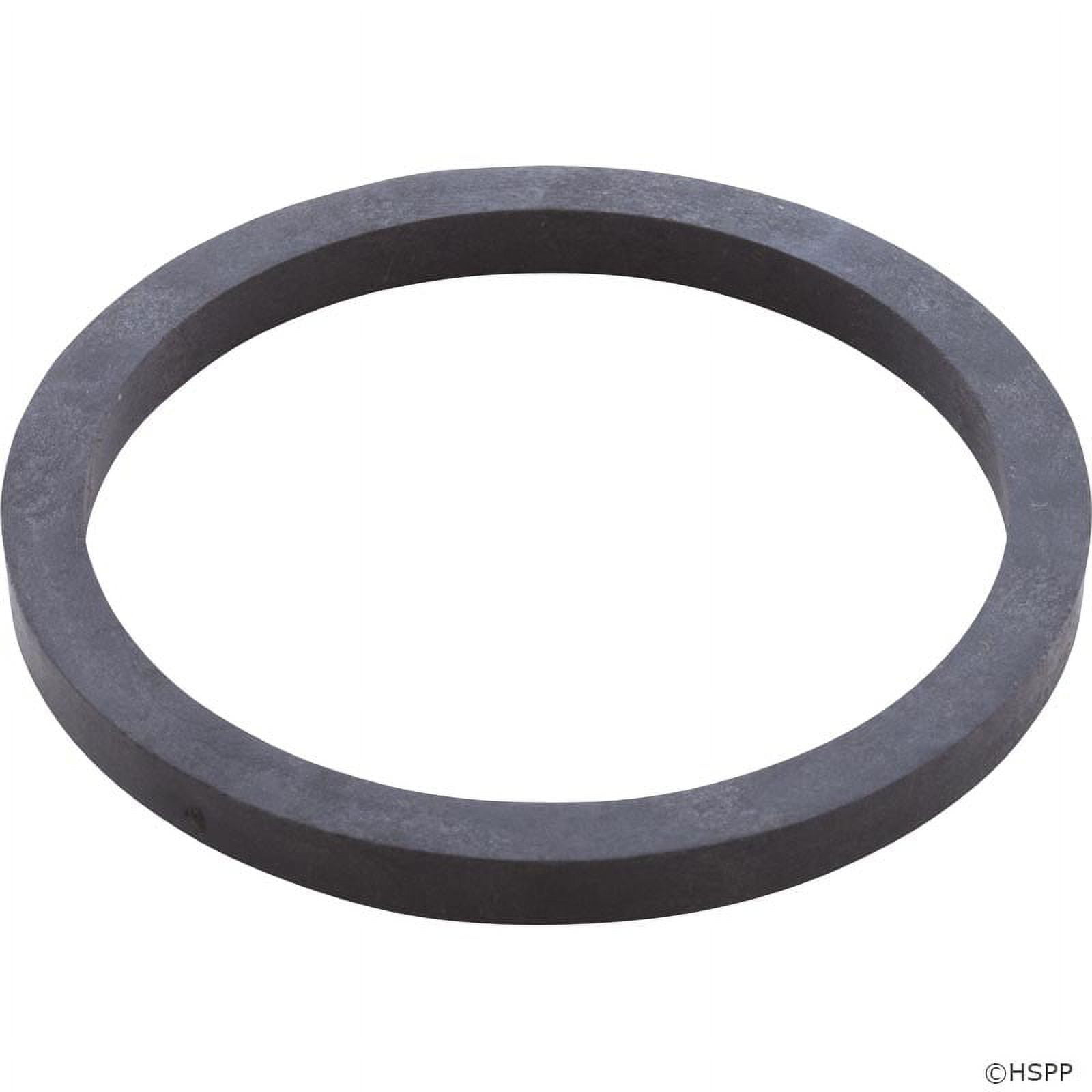 Pentair 154747 PVC Spacer Replacement Nautilus Plus Pool or Spa DE ...