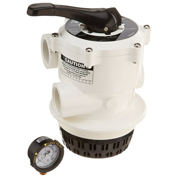 Pentair 261124 TA 1.5 Inch Multiport Backwash Tagelus Pool Spa Sand ...