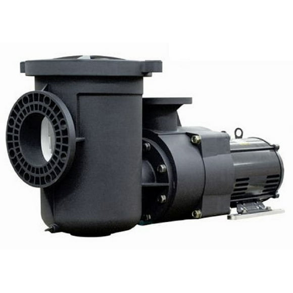 Pentair Pool Pumps in Pentair Pool Accessories - Walmart.com