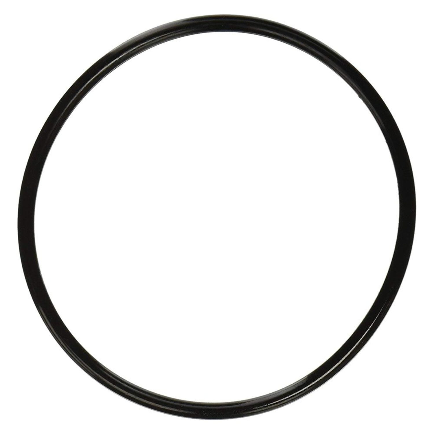 Pentair 350013 WhisperFlo Pump Lid O-Ring - Walmart.com