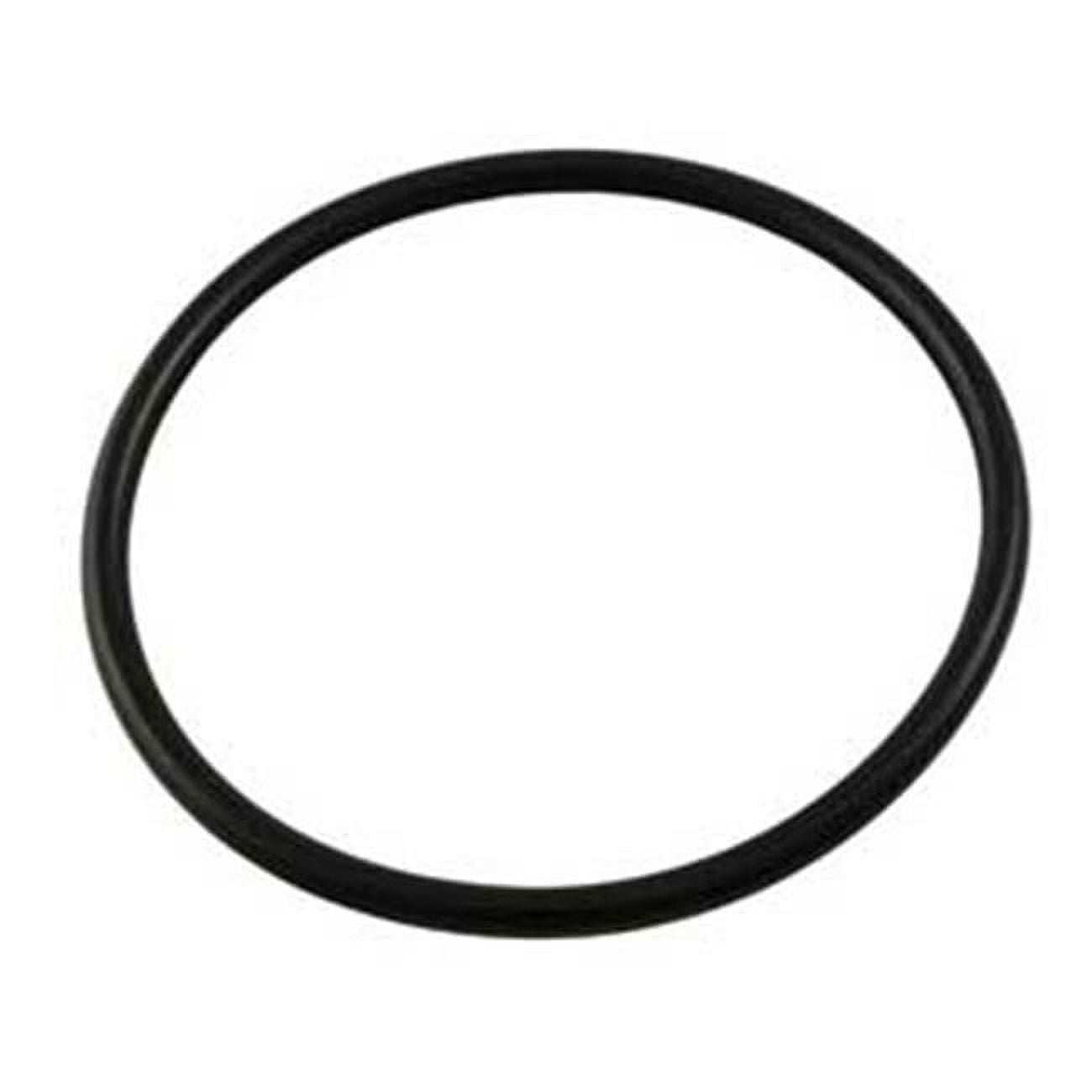 Pentair 35505-1425A System 3 Bulkhead O-Ring - Walmart.com